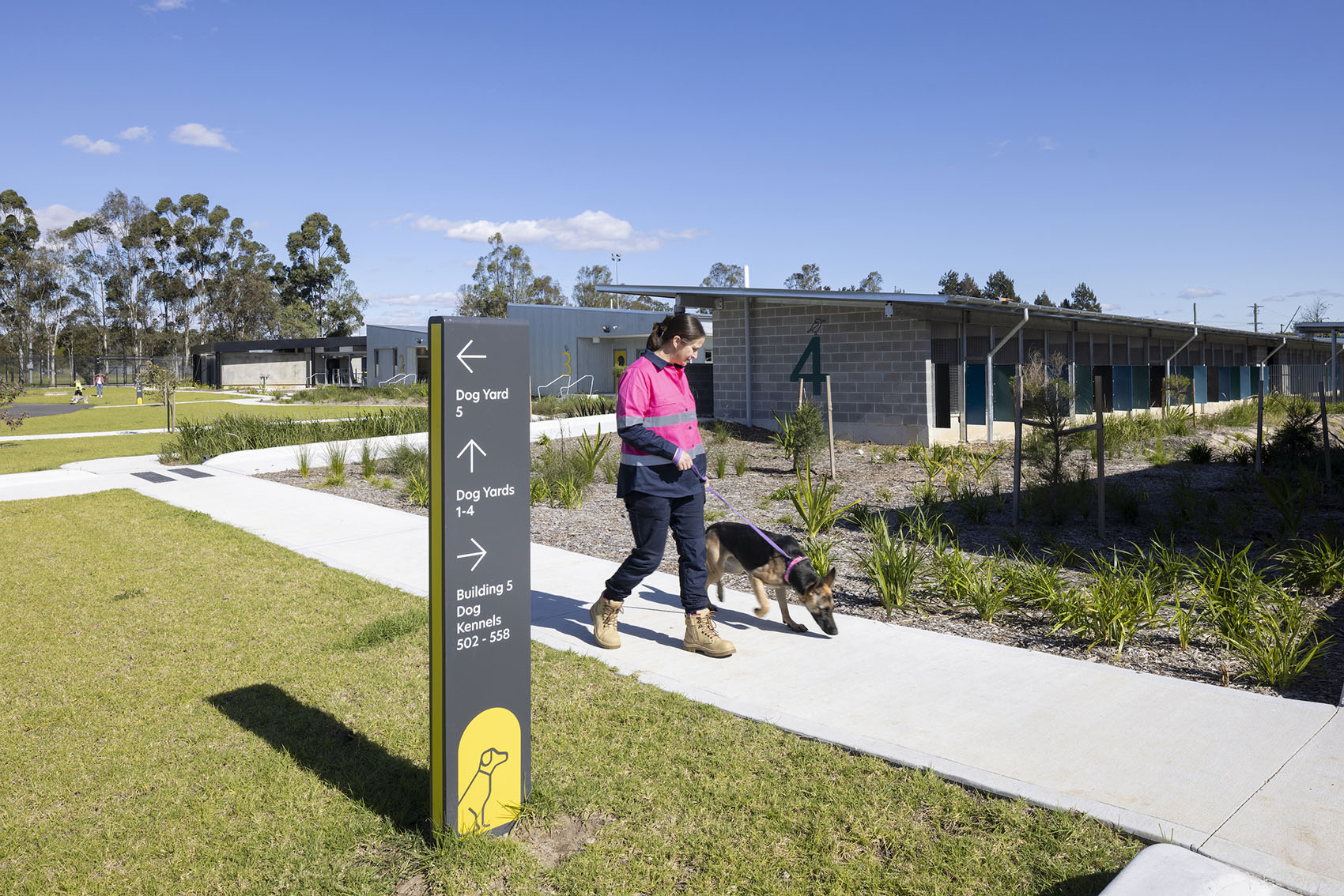 Blacktown Animal Rehoming Centre (BARC) by Sam Crawford Architects - 谷德设计网