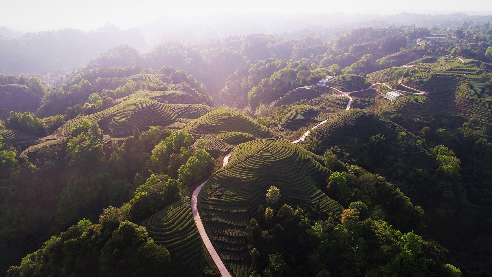 Global collection of Ya’an Baizhang Lake Landscaping and Rural ...