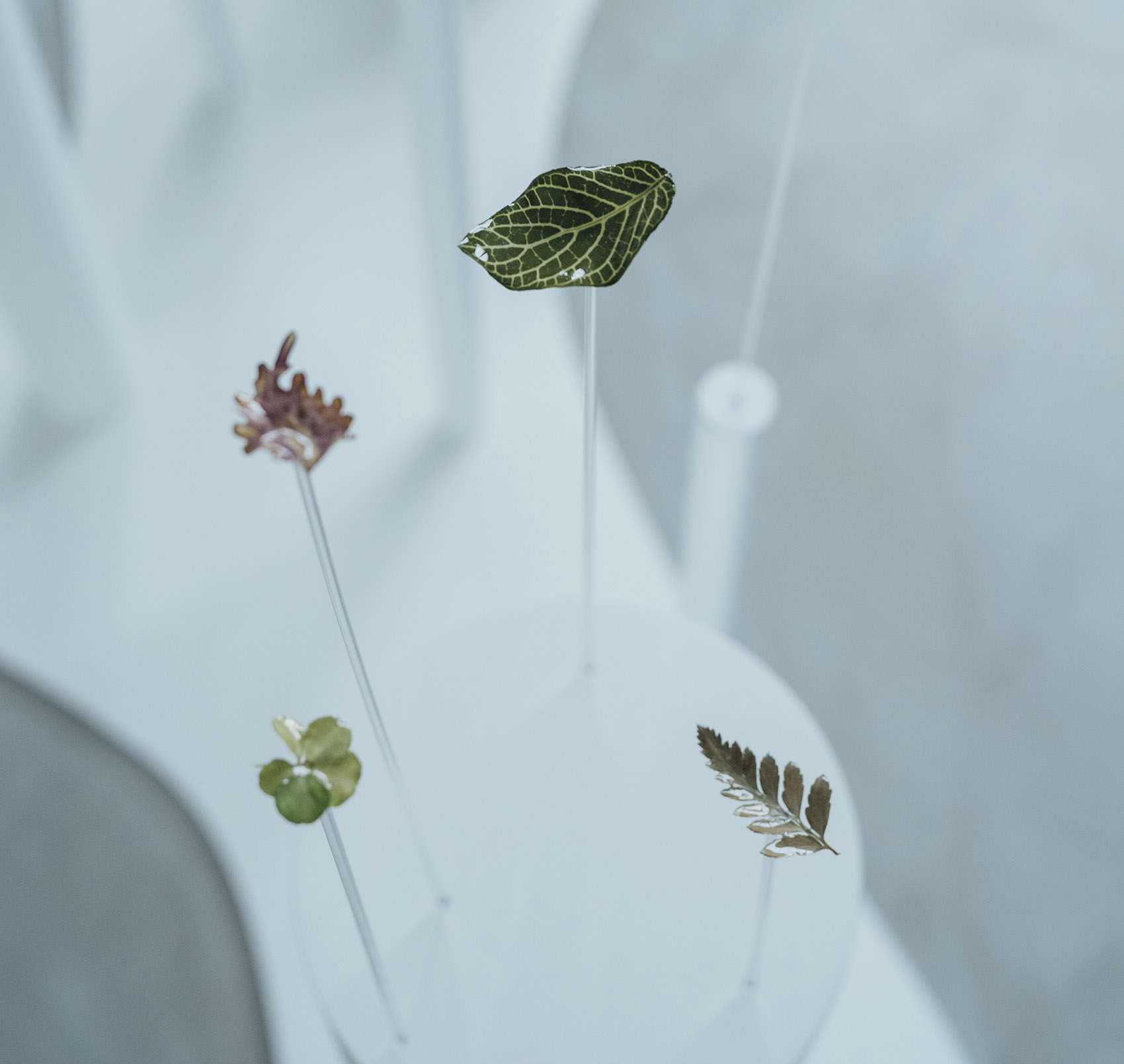 Little Witch Lab by FATHOM - 谷德设计网