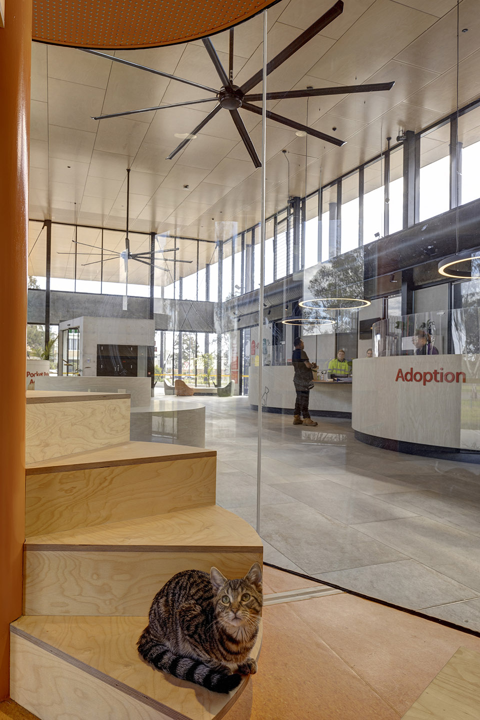 Blacktown Animal Rehoming Centre (BARC) by Sam Crawford Architects - 谷德设计网