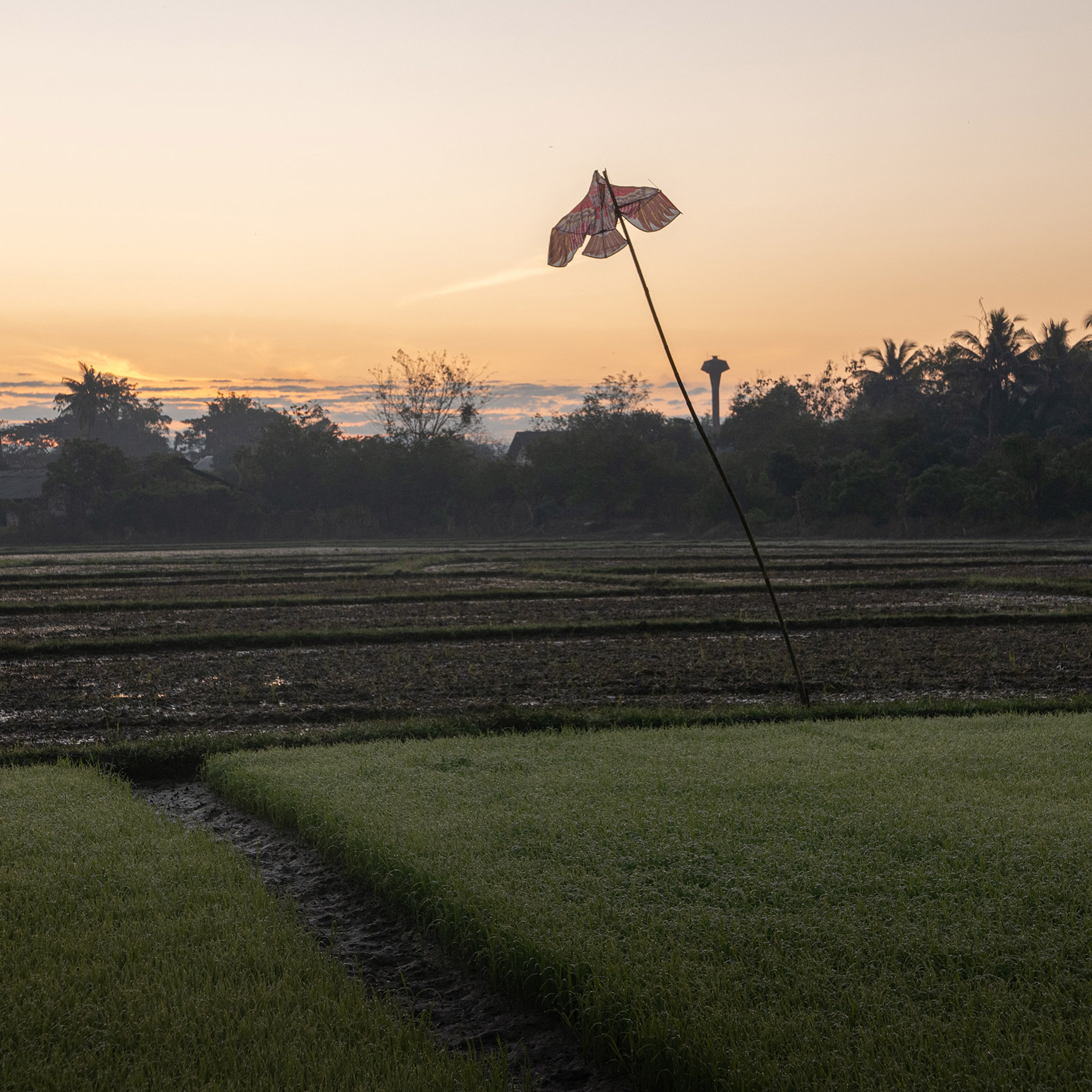 Moonler by Sher Maker - 谷德设计网