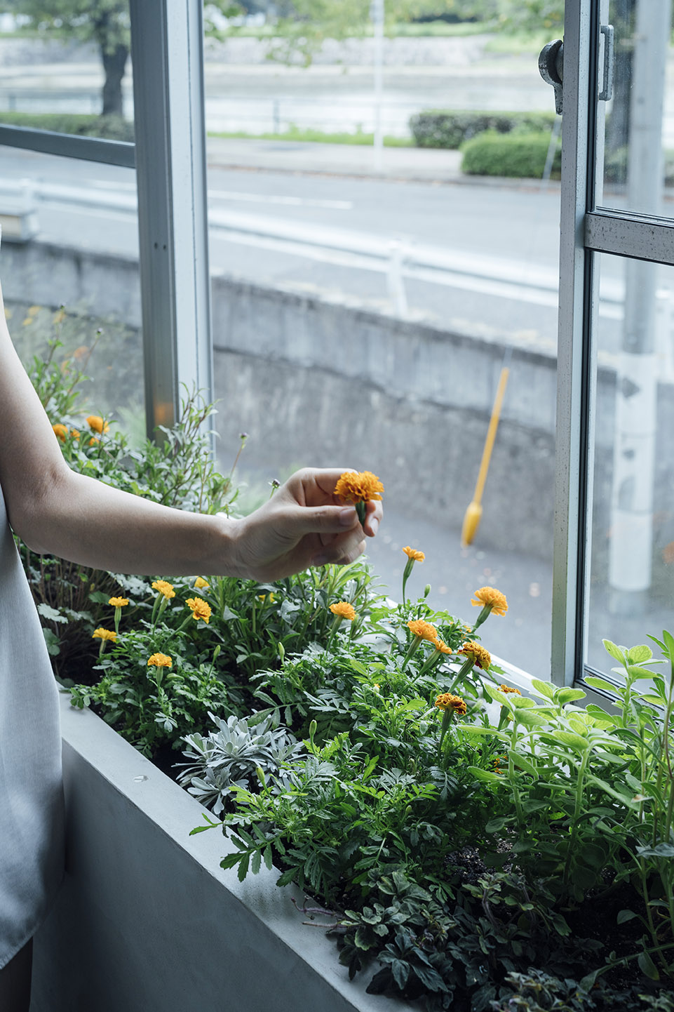 Little Witch Lab by FATHOM - 谷德设计网