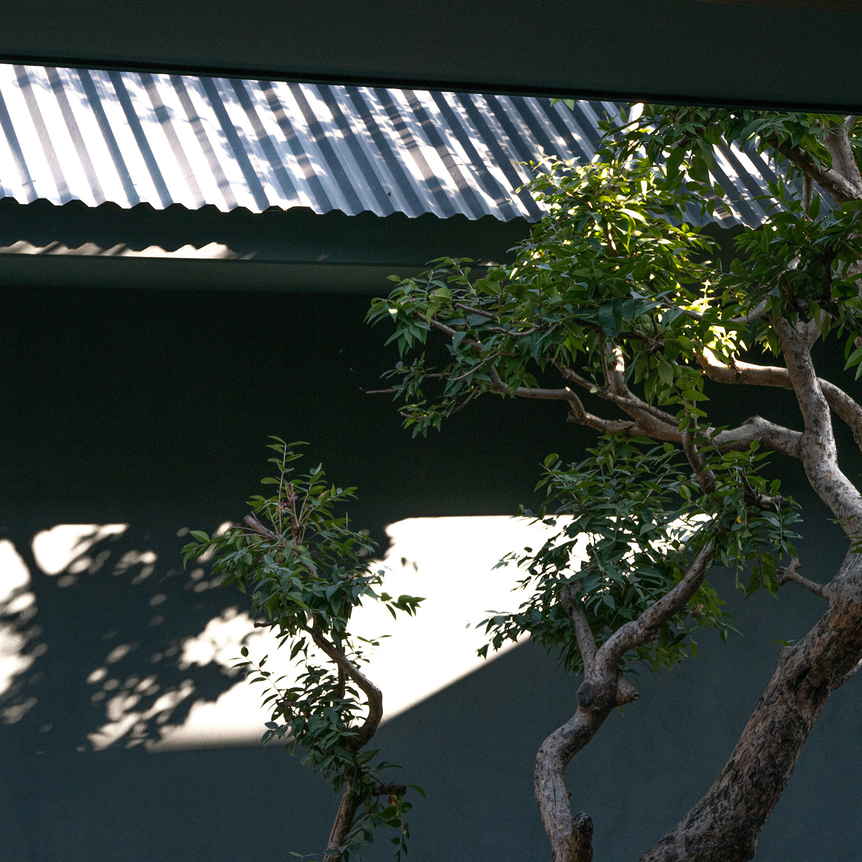 Moonler by Sher Maker - 谷德设计网