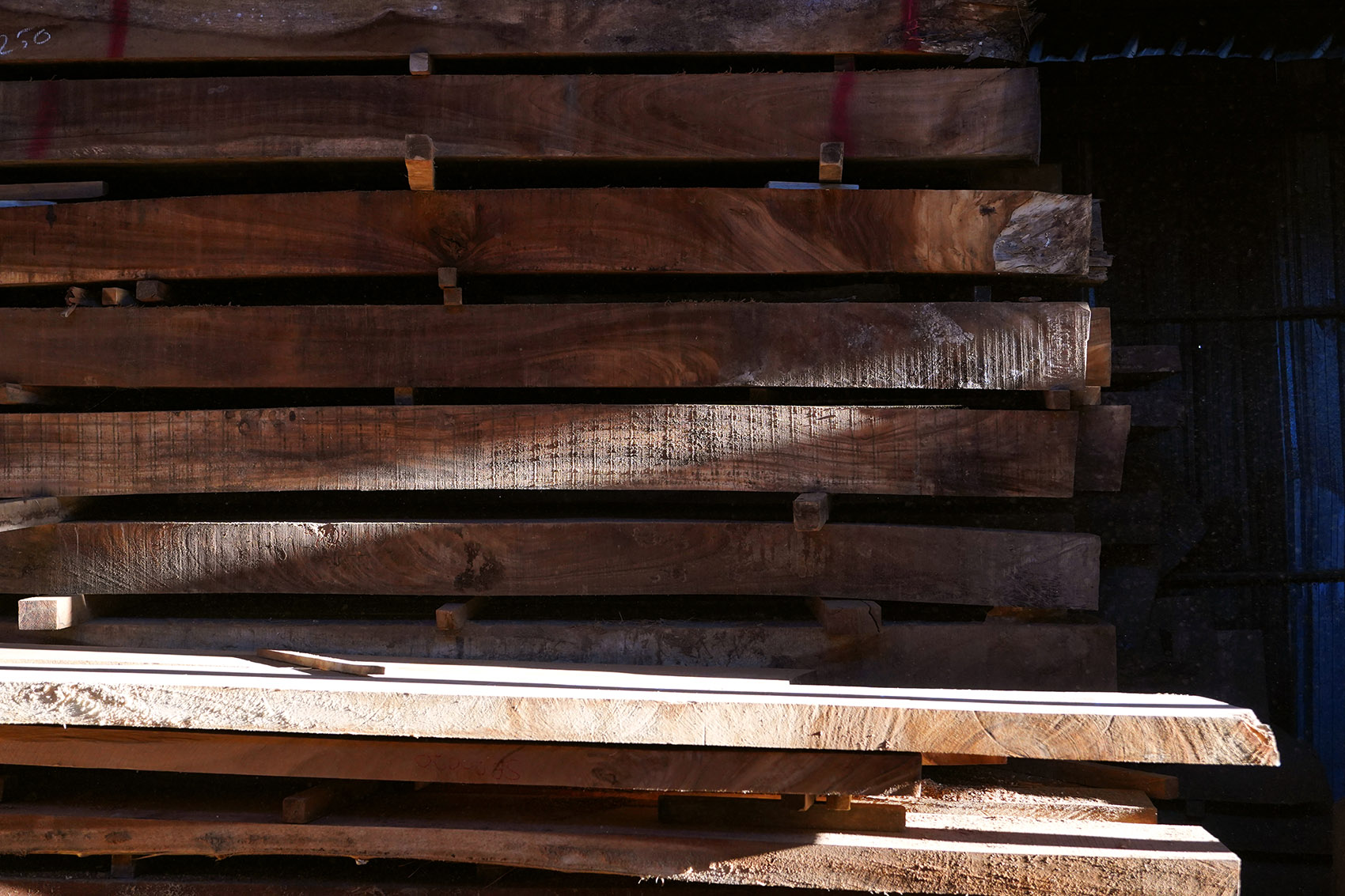 Moonler by Sher Maker - 谷德设计网