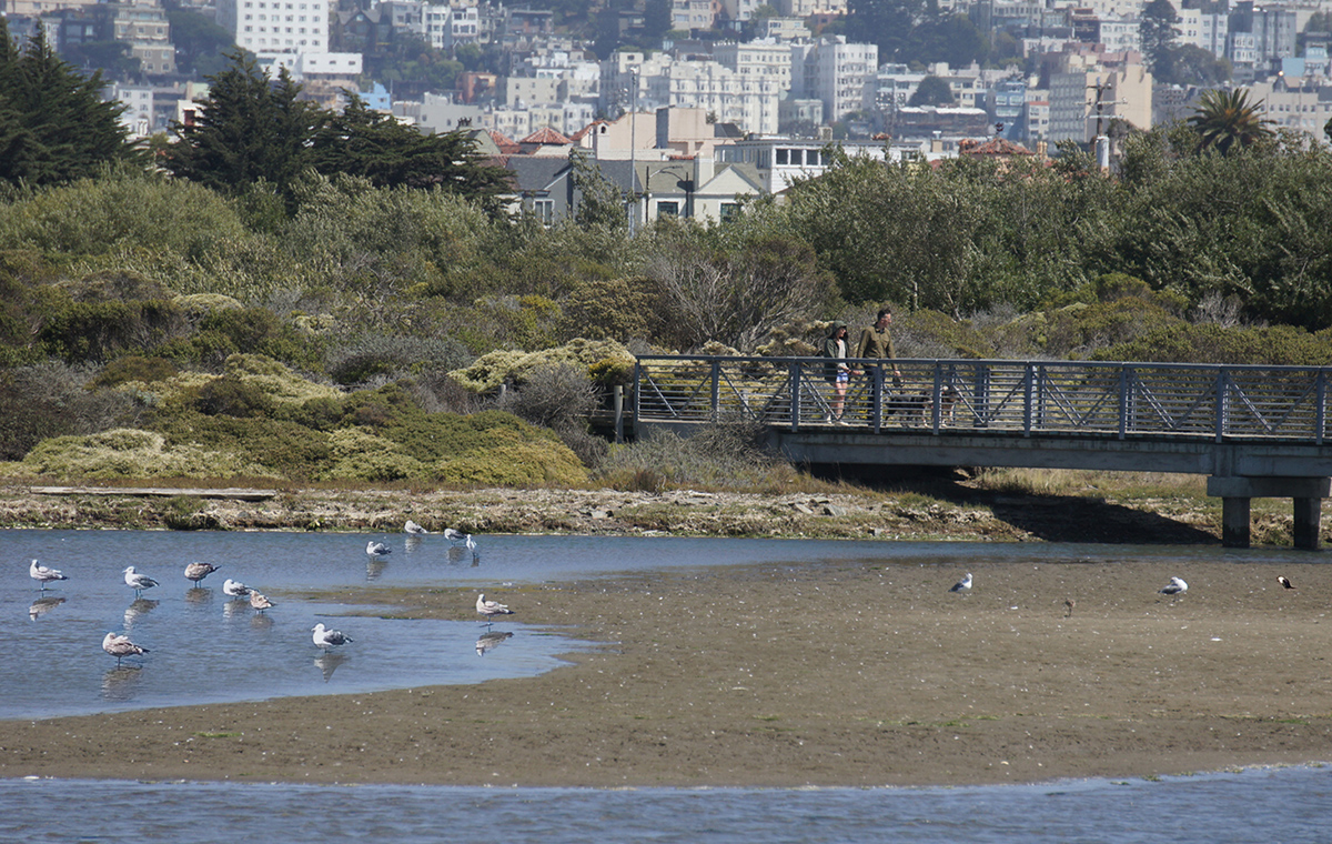 2022 ASLA LANDMARK AWARD: Crissy Field: An Enduring Transformation / Hargreaves Jones - 谷德设计网