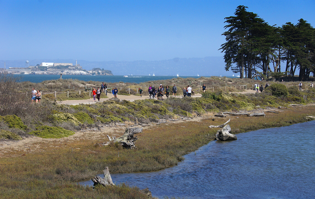 2022 ASLA LANDMARK AWARD: Crissy Field: An Enduring Transformation / Hargreaves Jones - 谷德设计网