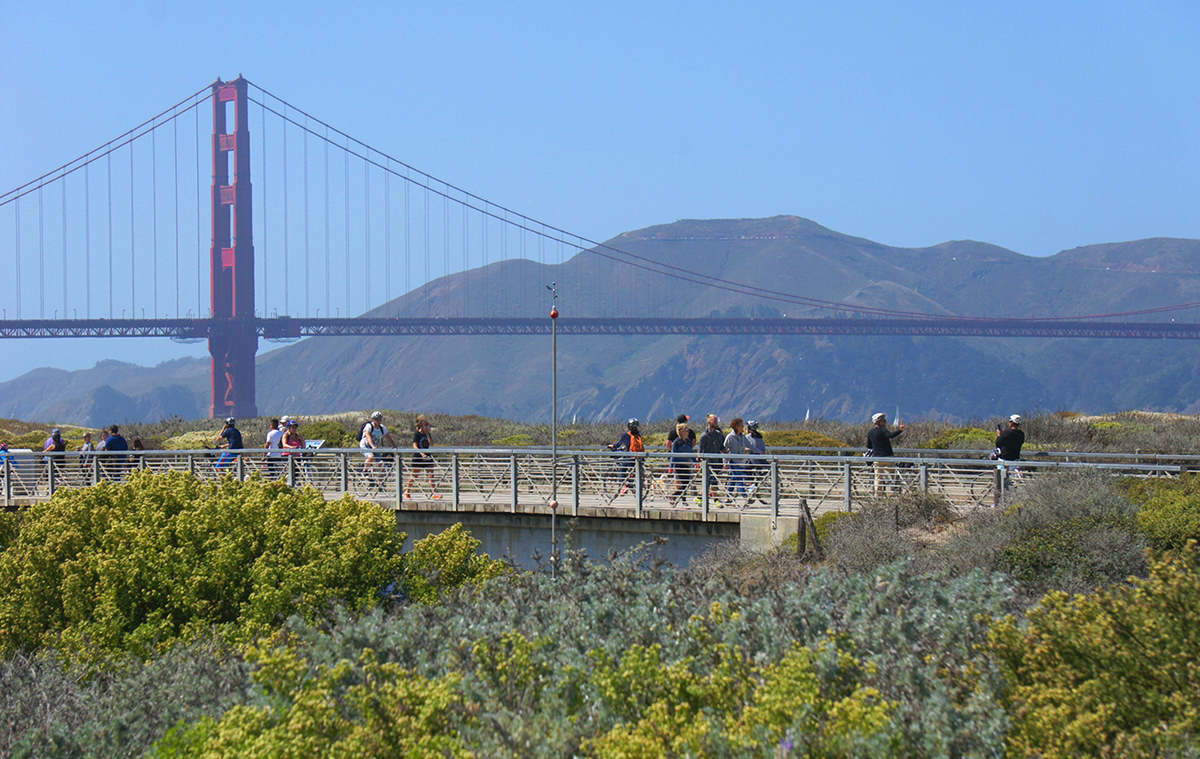 2022 ASLA LANDMARK AWARD: Crissy Field: An Enduring Transformation / Hargreaves Jones - 谷德设计网