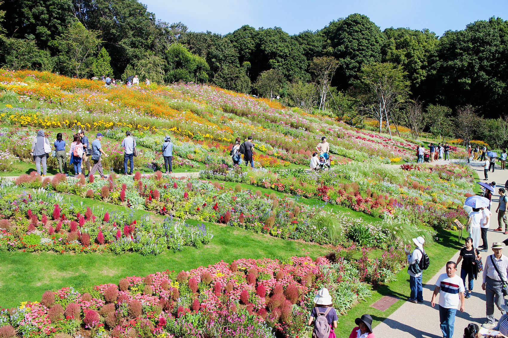 Floral Satoyama Garden by Yoshiki Toda Landscape & Architecture - 谷德设计网