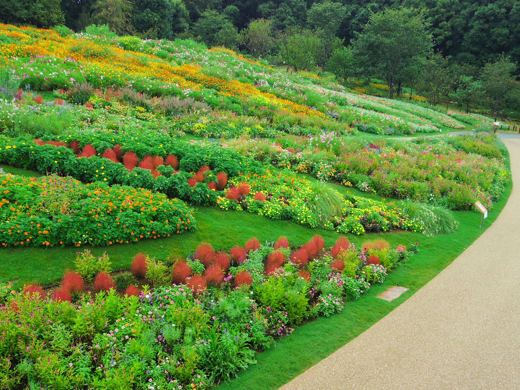 Floral Satoyama Garden by Yoshiki Toda Landscape & Architecture - 谷德设计网