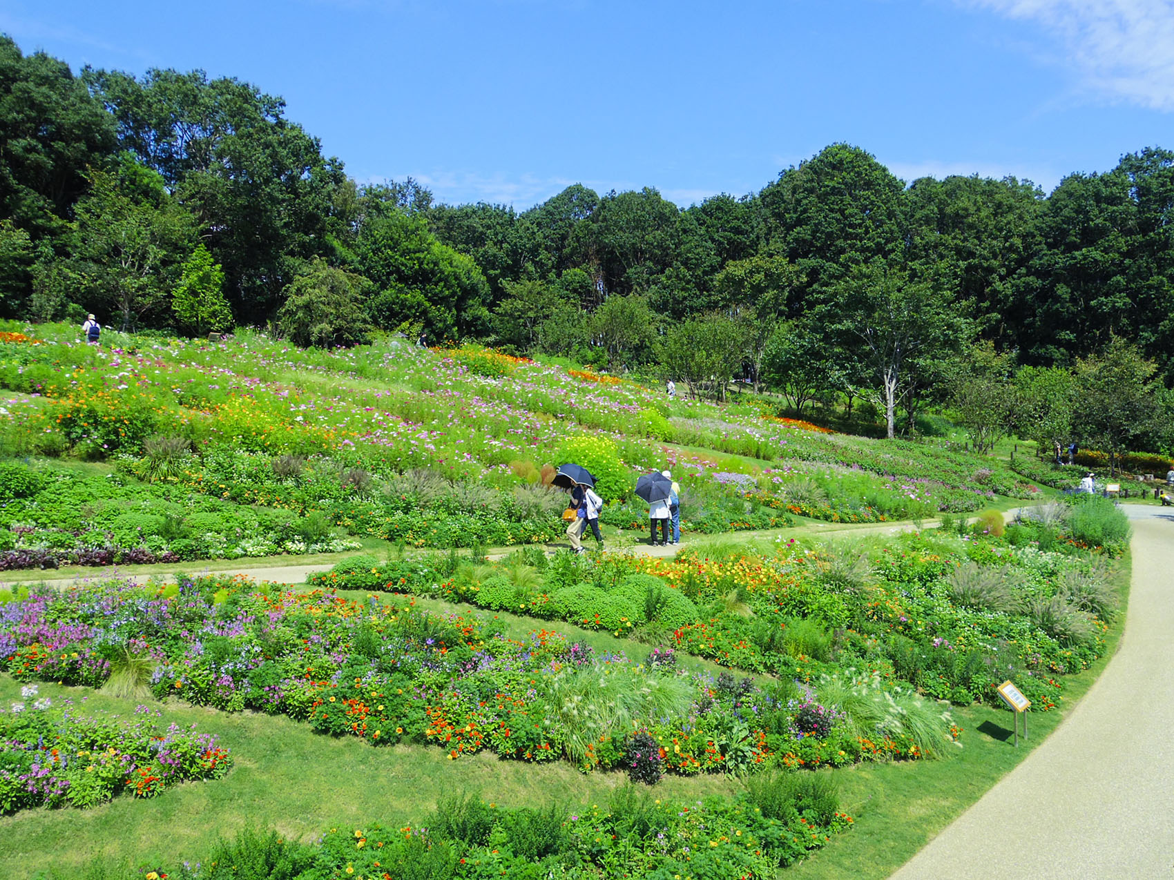 Floral Satoyama Garden by Yoshiki Toda Landscape & Architecture - 谷德设计网