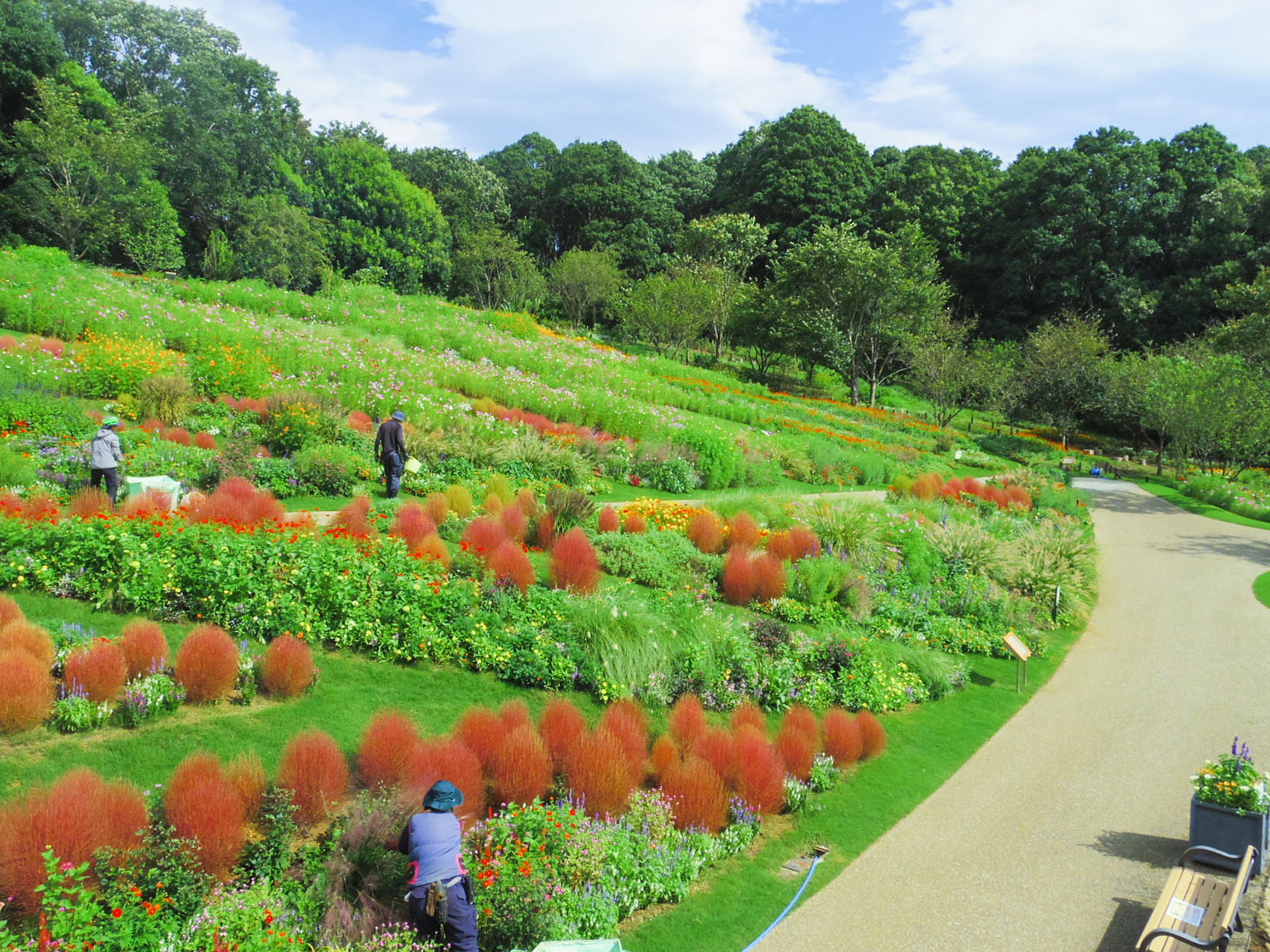 Floral Satoyama Garden by Yoshiki Toda Landscape & Architecture - 谷德设计网