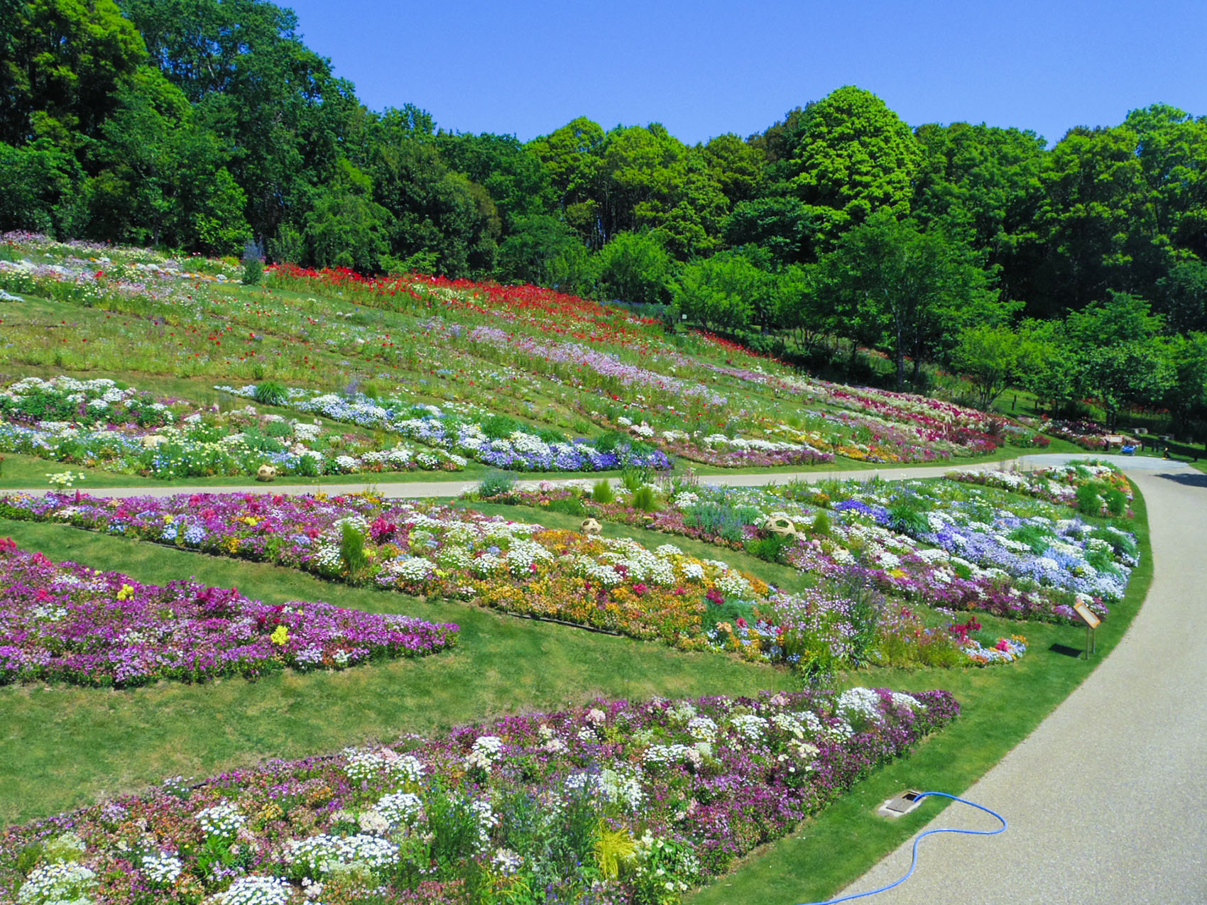 Floral Satoyama Garden by Yoshiki Toda Landscape & Architecture - 谷德设计网
