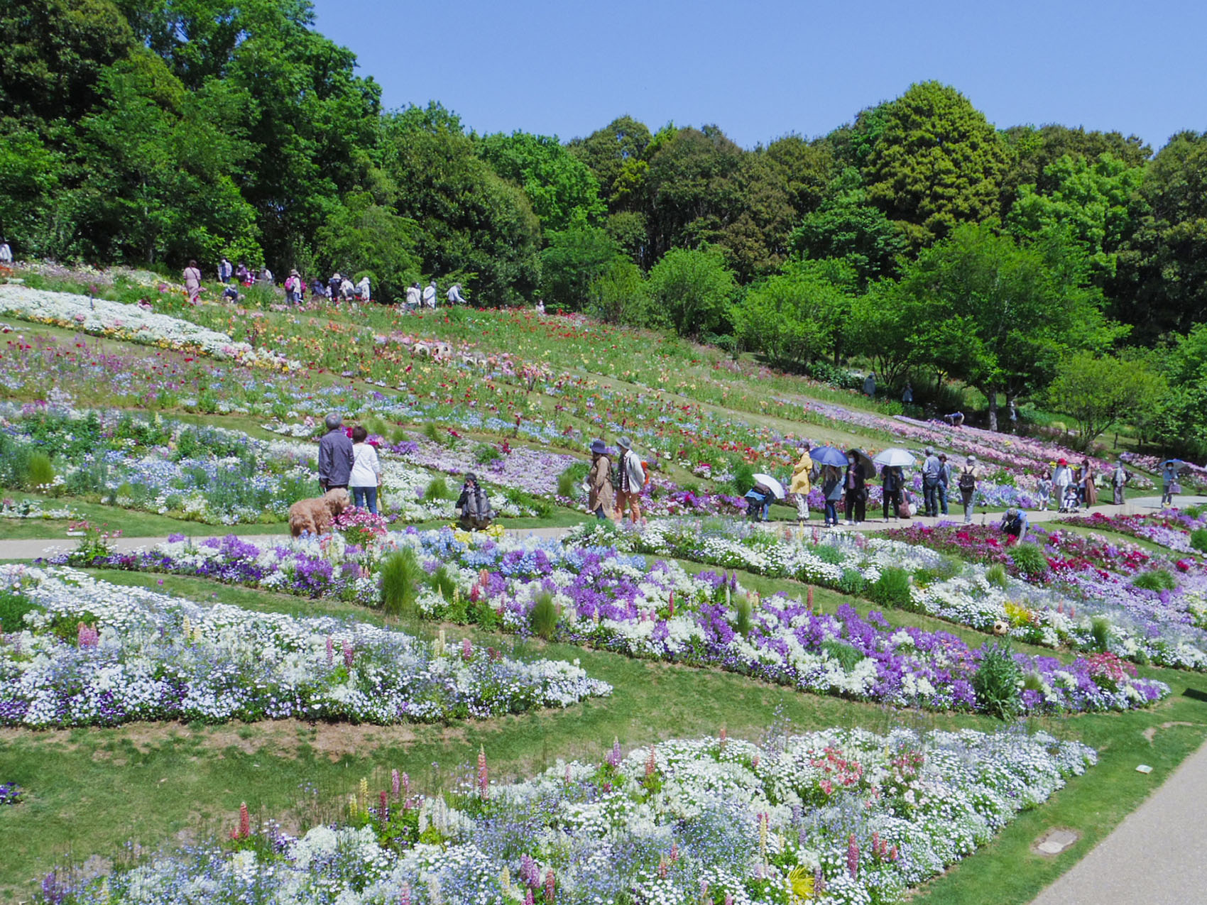 Floral Satoyama Garden by Yoshiki Toda Landscape & Architecture - 谷德设计网