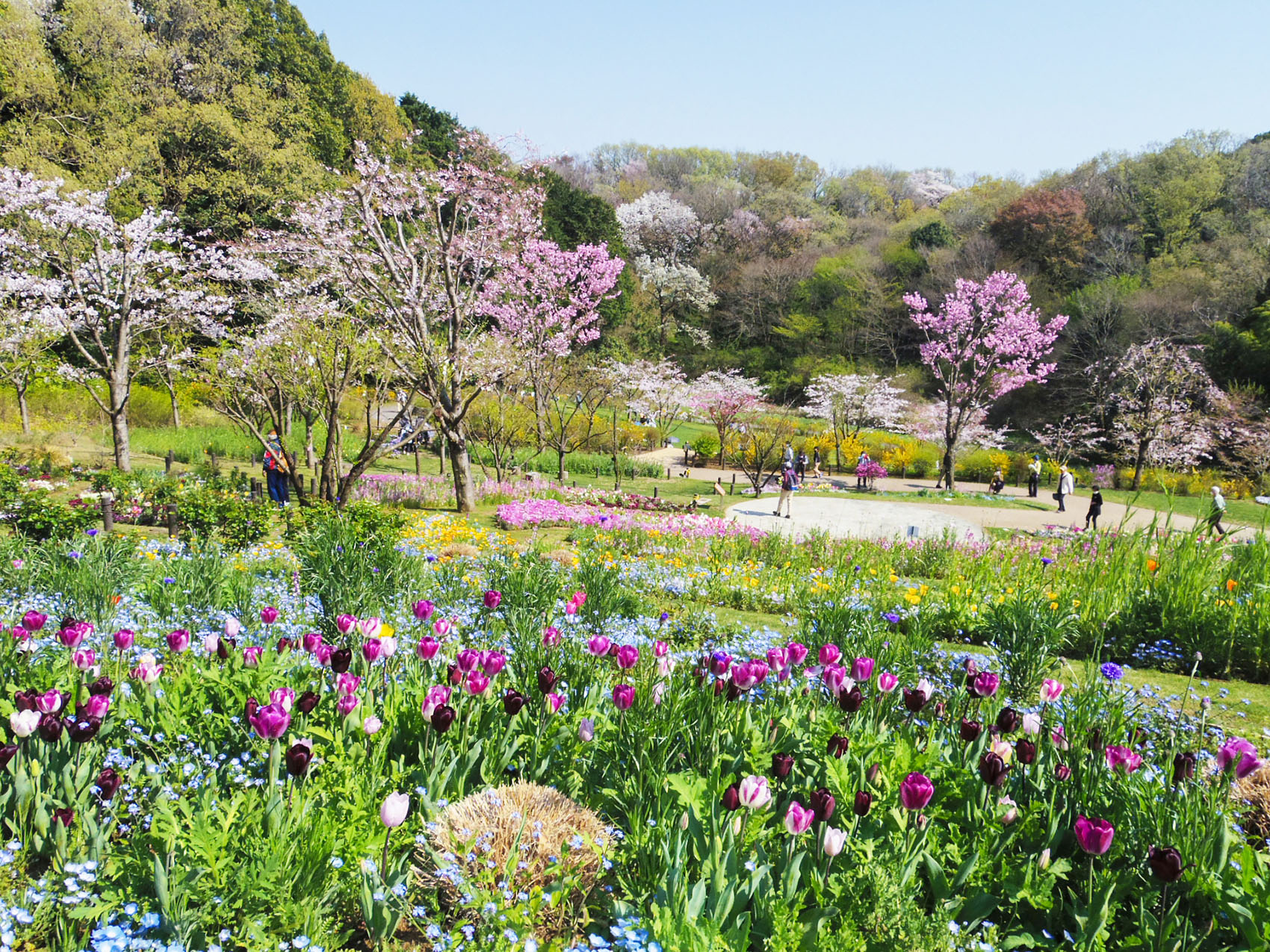 Floral Satoyama Garden by Yoshiki Toda Landscape & Architecture - 谷德设计网
