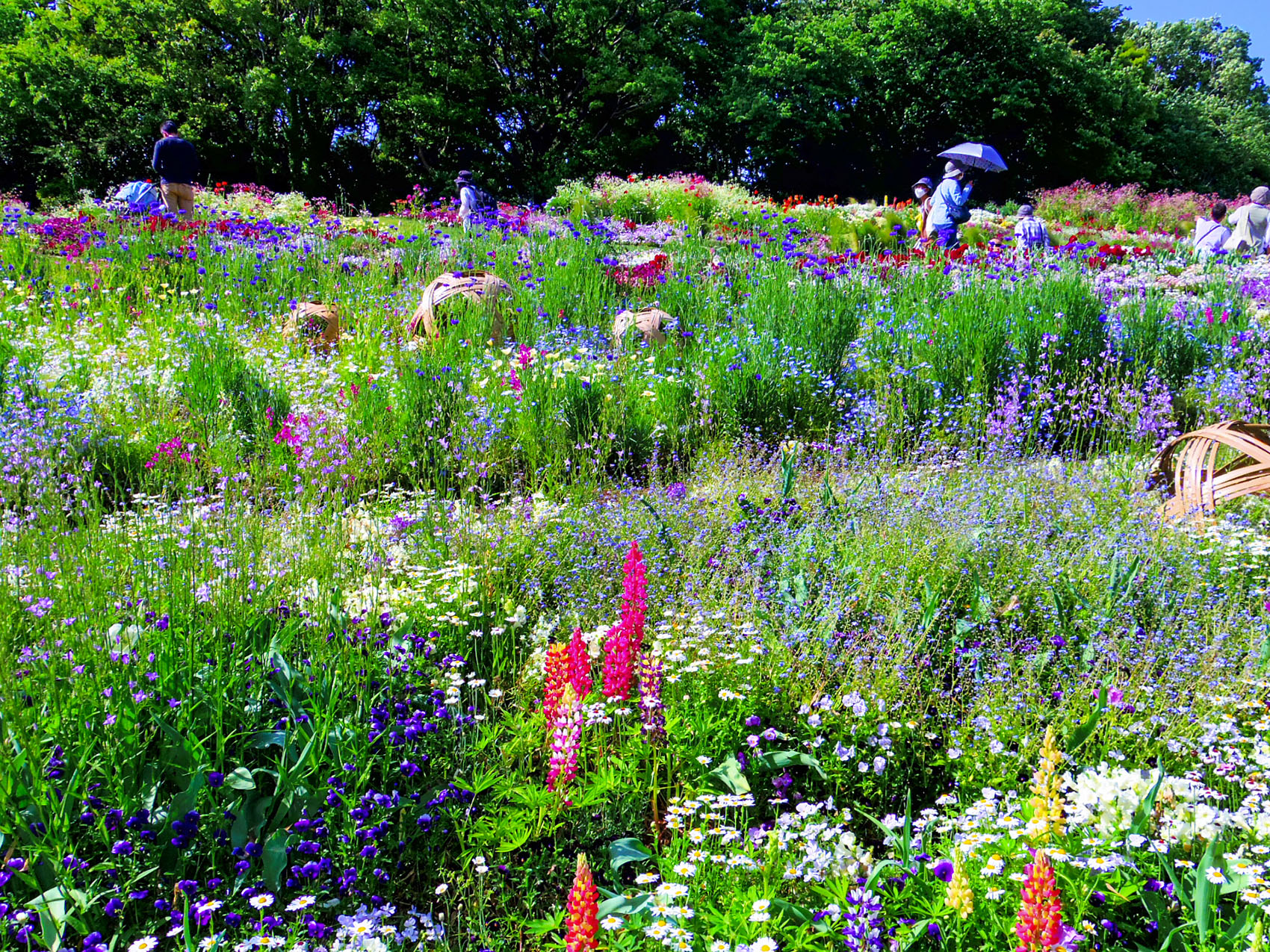 Floral Satoyama Garden by Yoshiki Toda Landscape & Architecture - 谷德设计网