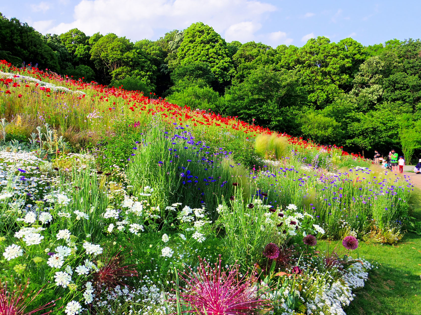 Floral Satoyama Garden by Yoshiki Toda Landscape & Architecture - 谷德设计网