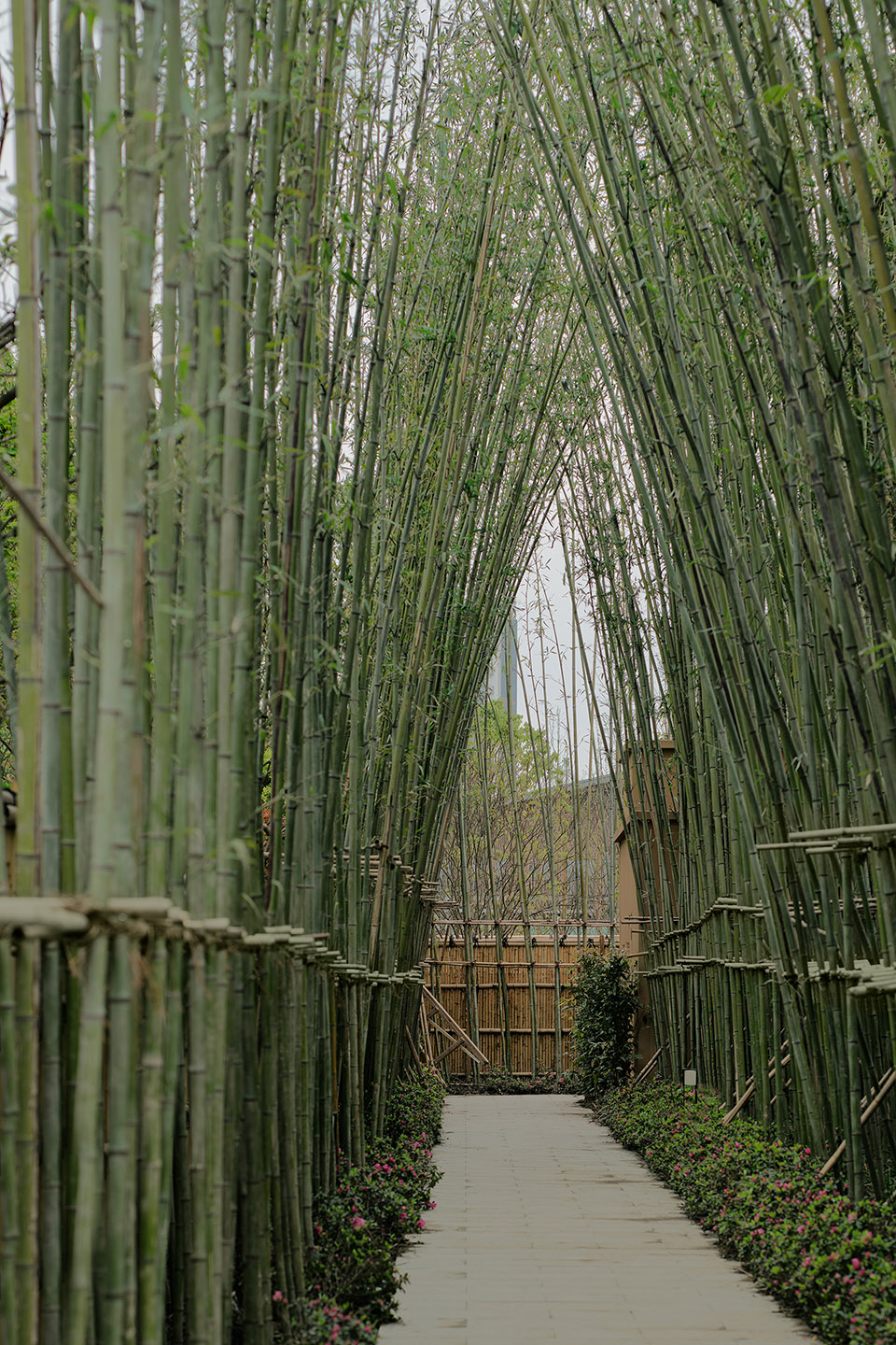 Angsana Chengdu Wenjiang by CCD - 谷德设计网