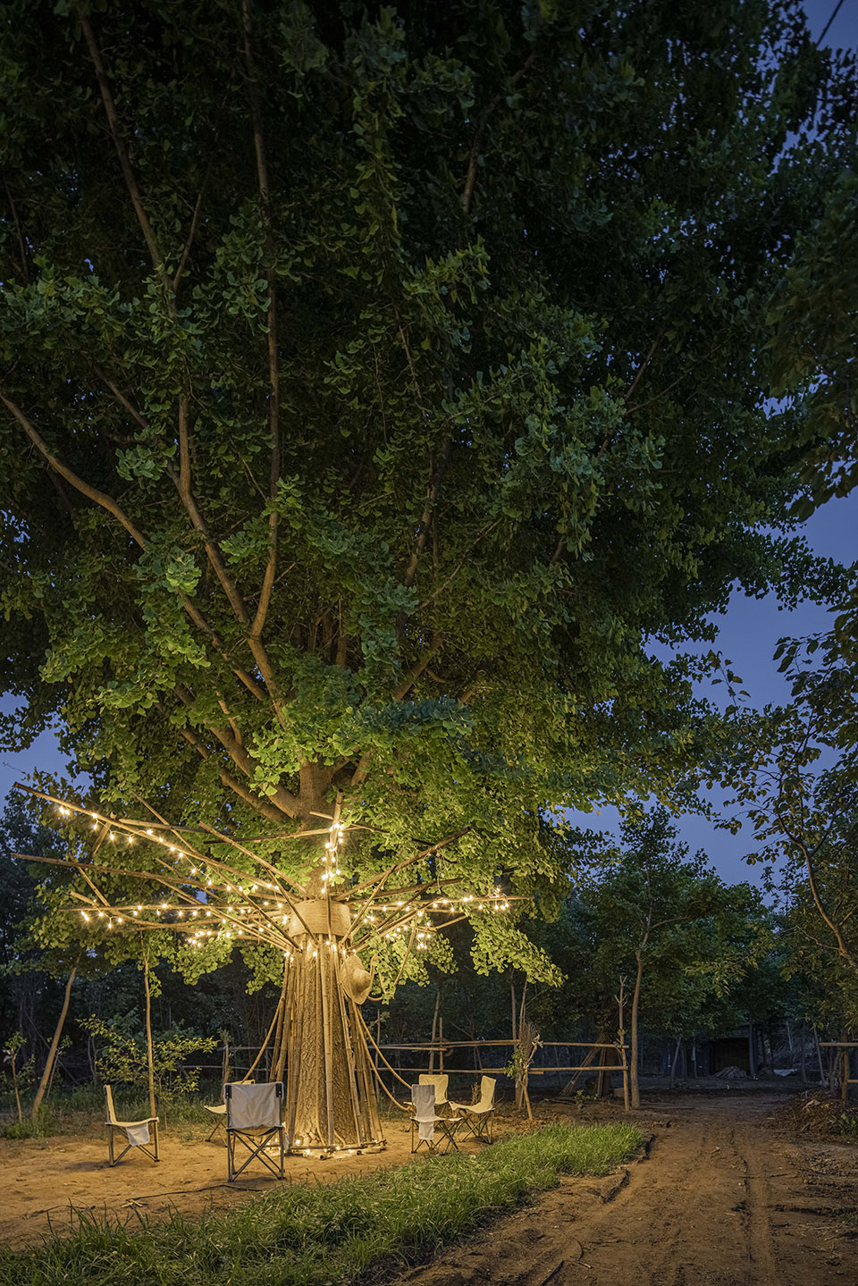 Bamboo Installation “Tree of Life” by UK Studio - 谷德设计网