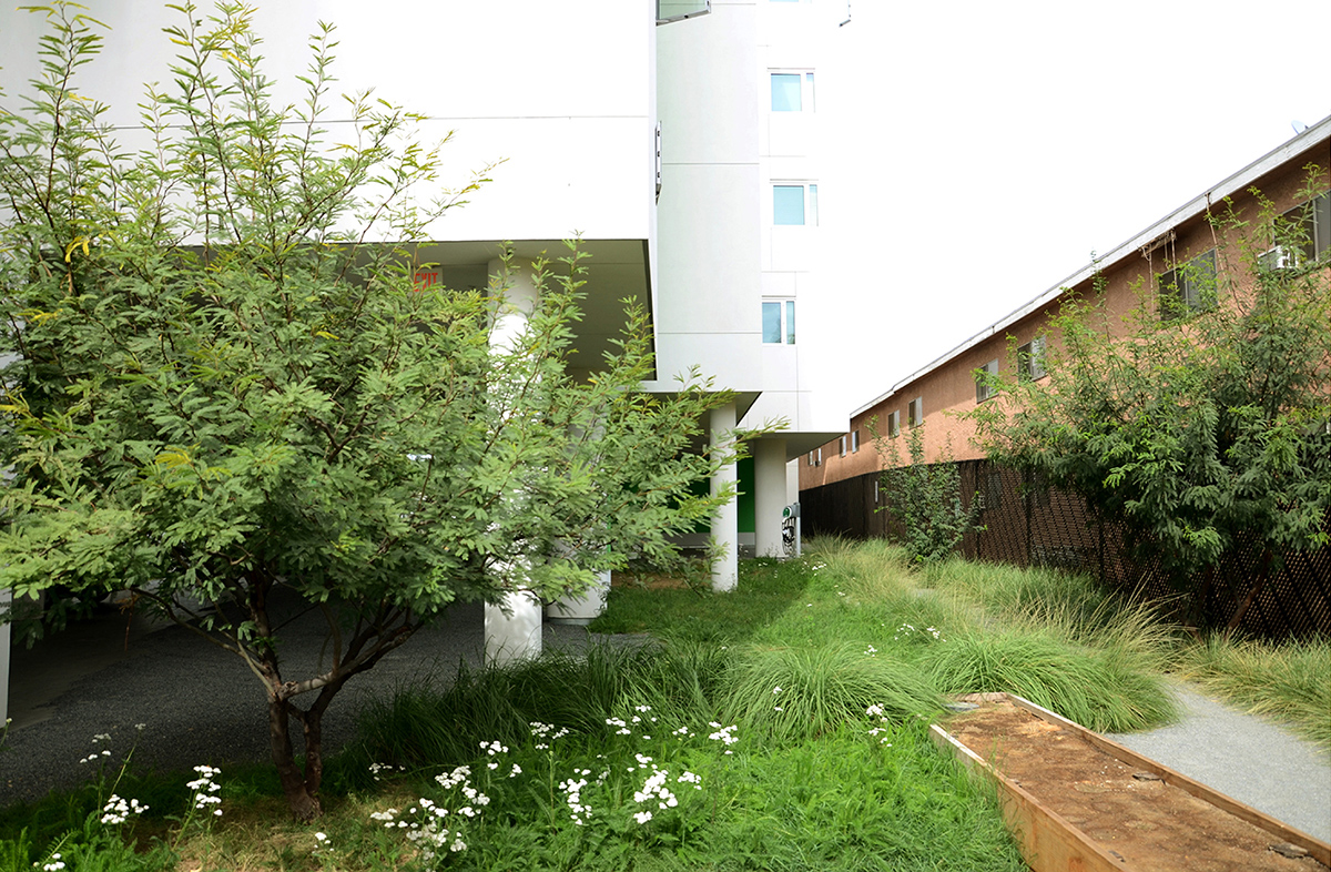 2022 ASLA RESIDENTIAL DESIGN AWARD OF HONOR: Crest Apartments, A ...