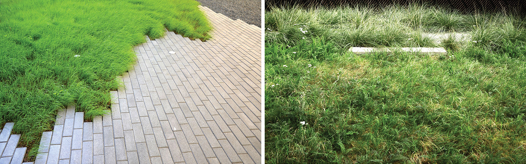 2022 ASLA RESIDENTIAL DESIGN AWARD OF HONOR: Crest Apartments, A ...