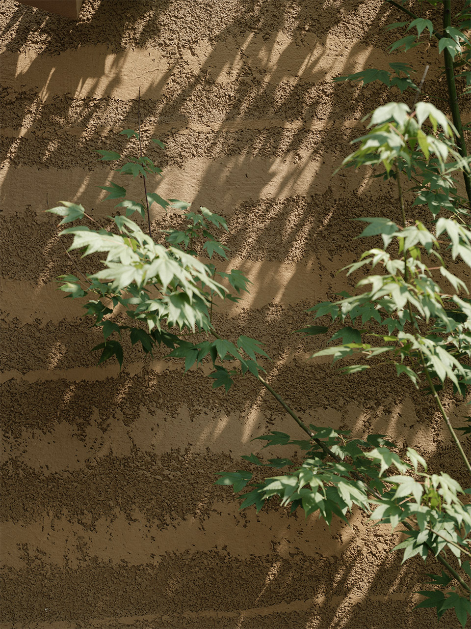 Angsana Chengdu Wenjiang by CCD - 谷德设计网