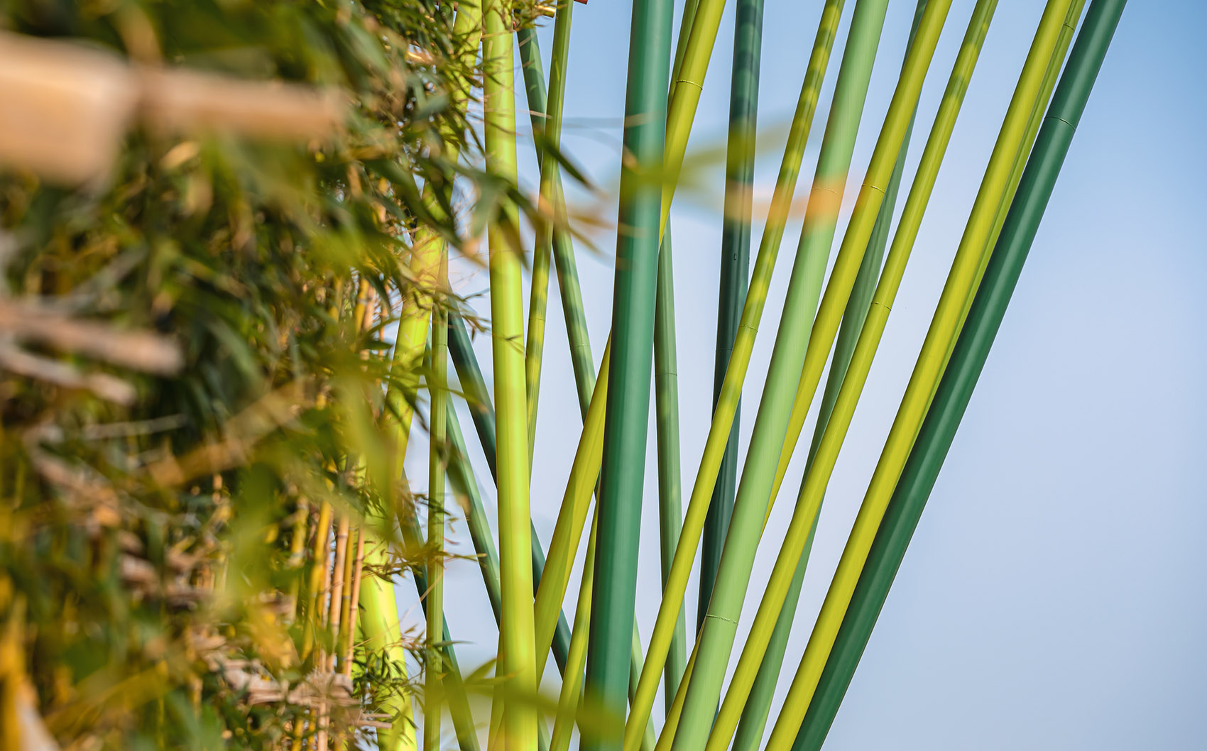 The performance theater “ENDURING MEMORY OF SHAOSHAN” by China IPPR International Engineering Co ...