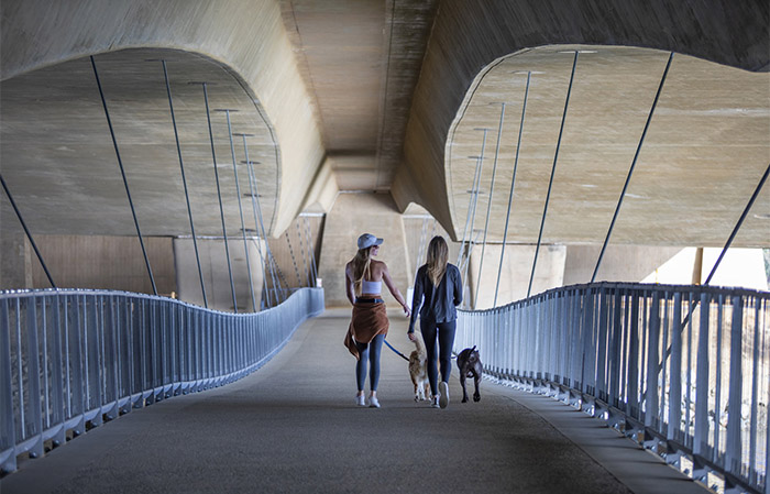 San Elijo Lagoon Pedestrian Bridge by Safdie Rabines Architects - 谷德设计网