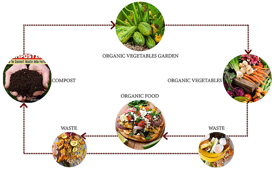 “生态循环馆”餐厅，越南 / Takashi Niwa Architects - 谷德设计网