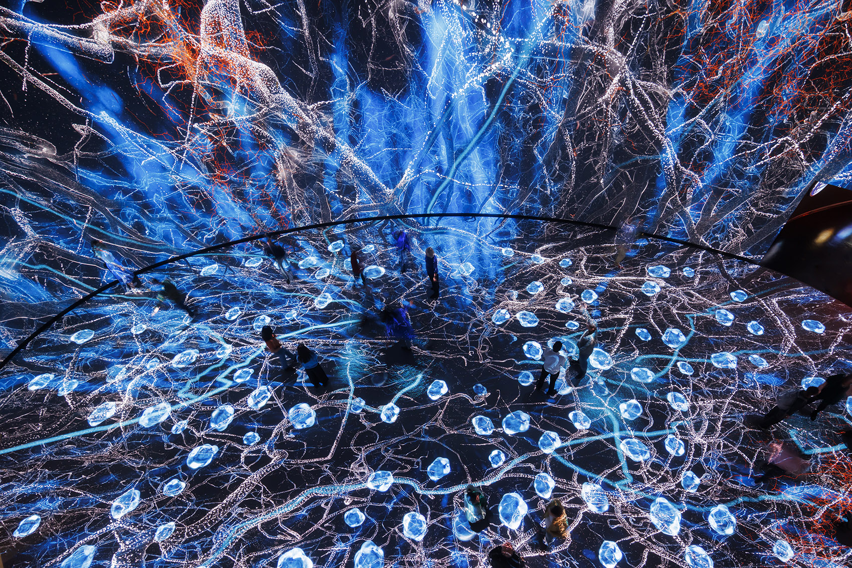 Richard Gilder Center for Science, Education, and Innovation by Studio Gang - 谷德设计网