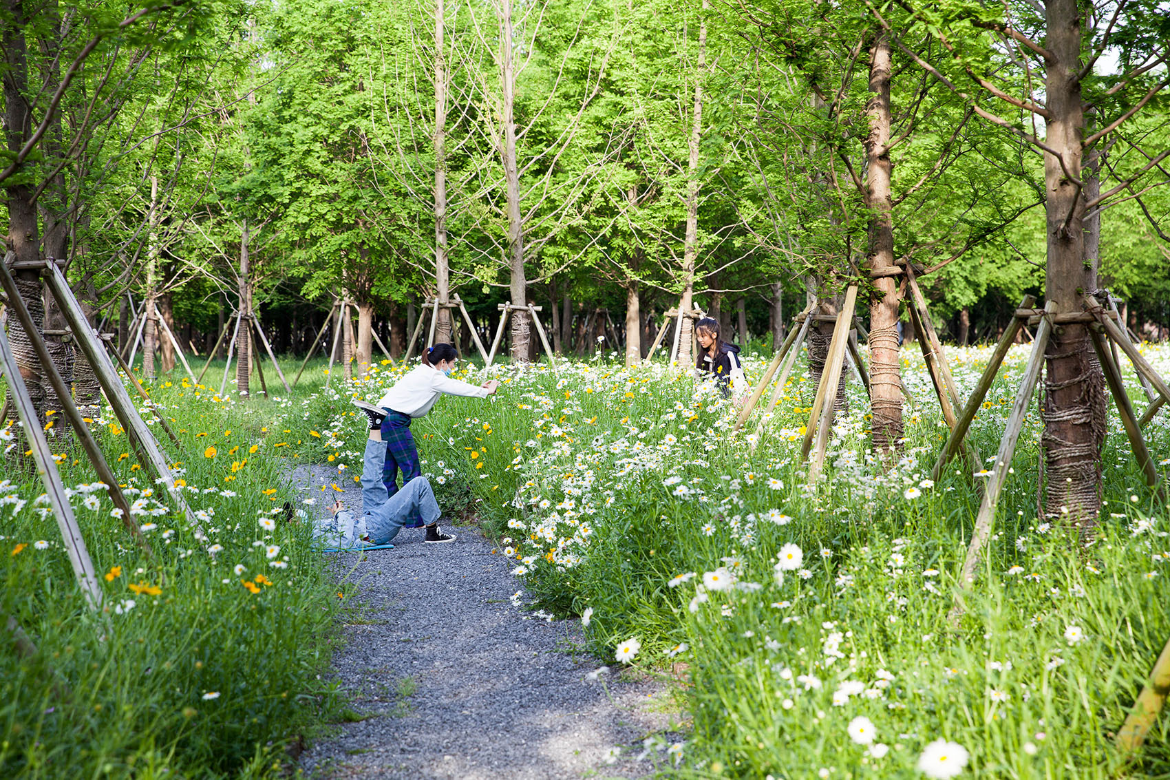 Waterfront Landscape Design of the Yangtze River Delta Integrated ...