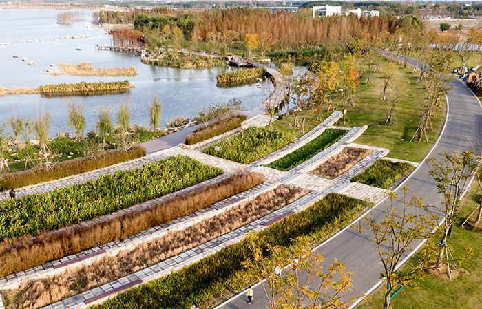 Waterfront Landscape Design of the Yangtze River Delta Integrated ...