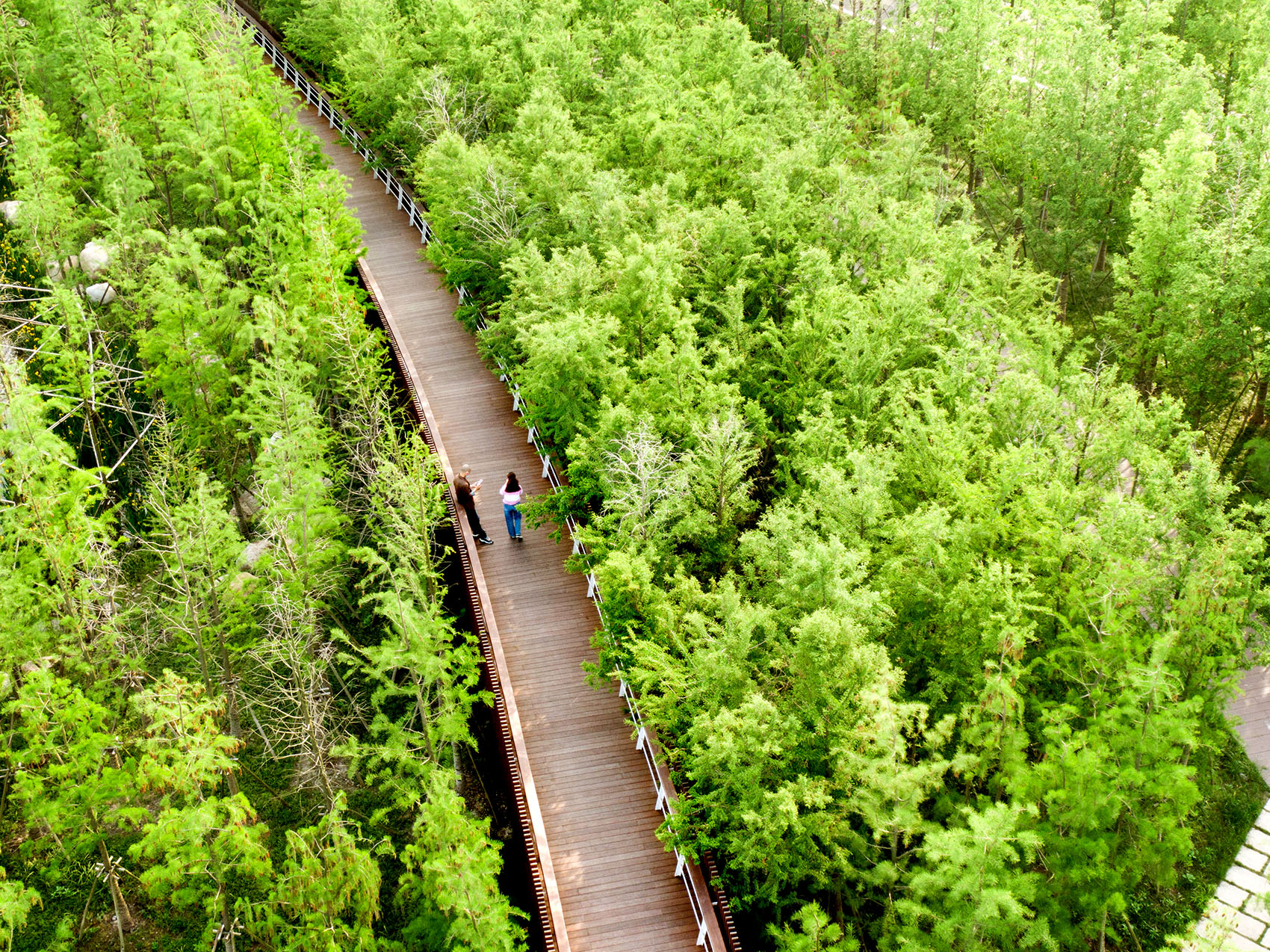Waterfront Landscape Design of the Yangtze River Delta Integrated ...