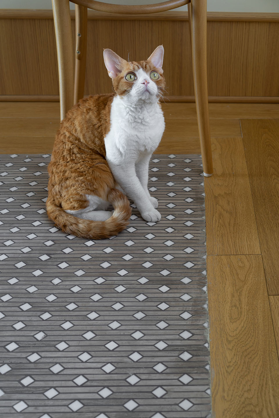 Piaopiao’s Cute Castle by Bridge Lab - 谷德设计网