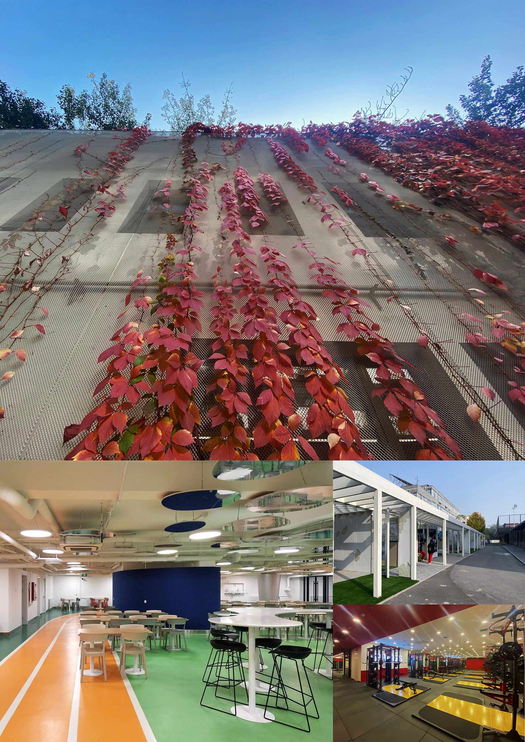 LYCEUM SCHOOL by DL Atelier - 谷德设计网