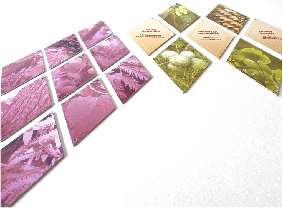 2022 ASLA COMMUNICATIONS AWARD OF HONOR: Talk Tree to Me: Facilitating a Complex Conversation ...