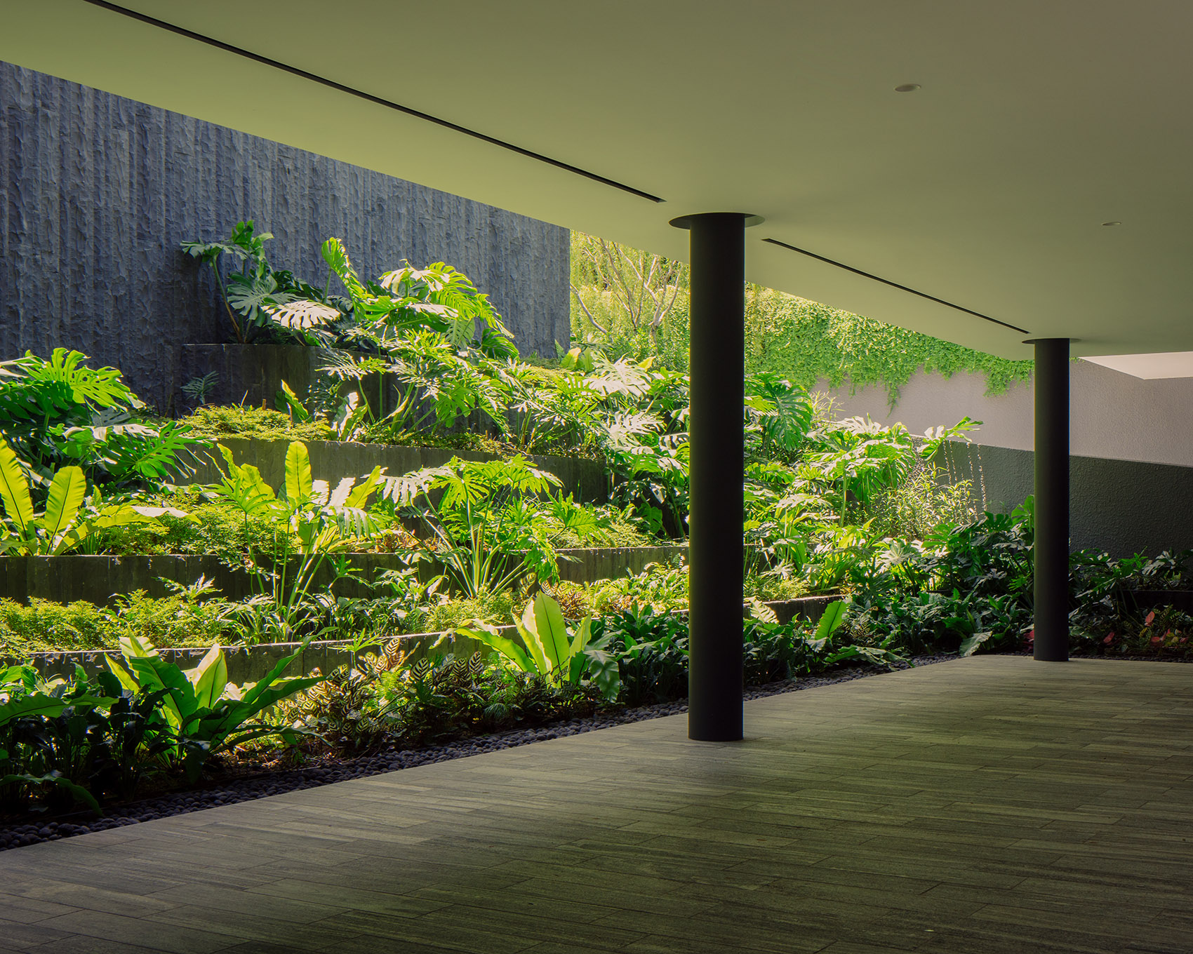 Serendipity House by Wallflower Architecture + Design - 谷德设计网