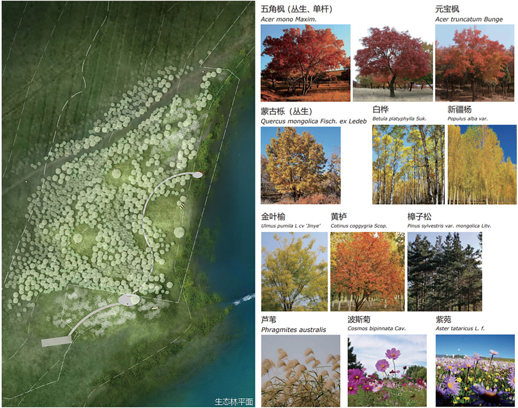 Laoli Lake Rural Revitalization by Cocoon Studio - 谷德设计网