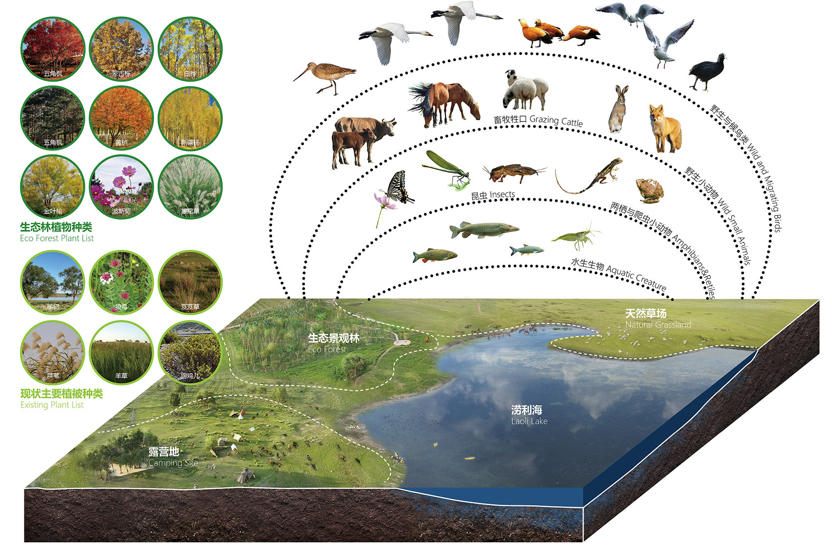 Laoli Lake Rural Revitalization by Cocoon Studio - 谷德设计网