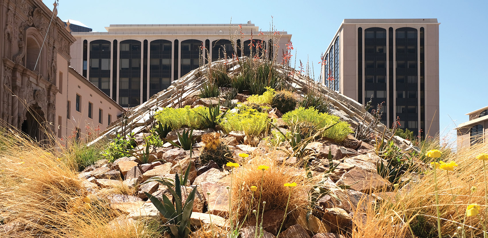 2022 ASLA GENERAL DESIGN AWARD OF HONOR: The January 8th Memorial and the El Presidio Park ...