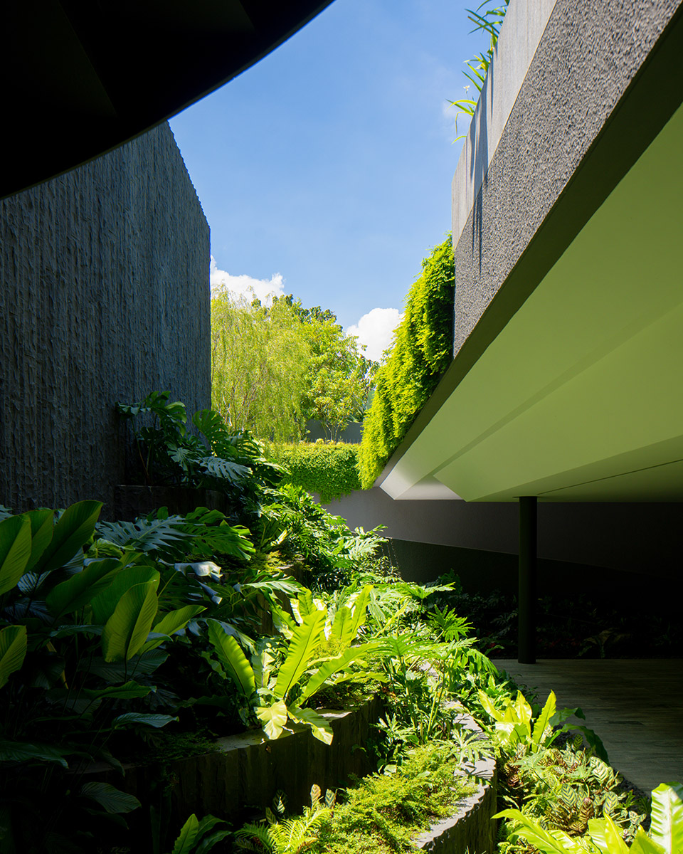 Serendipity House by Wallflower Architecture + Design - 谷德设计网