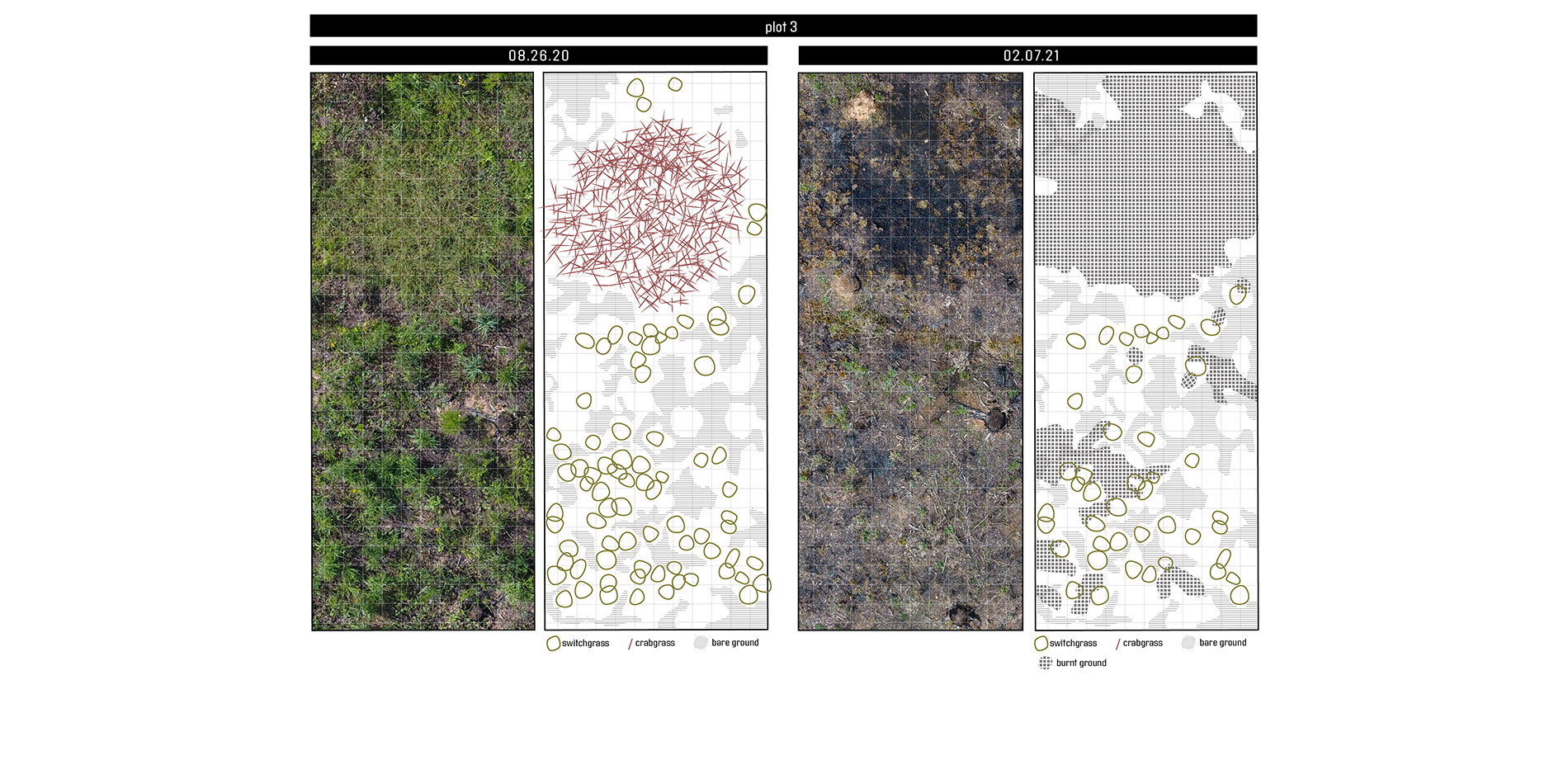 2022 ASLA RESEARCH AWARD OF HONOR: Alabama Meadows / Emily Knox + David ...
