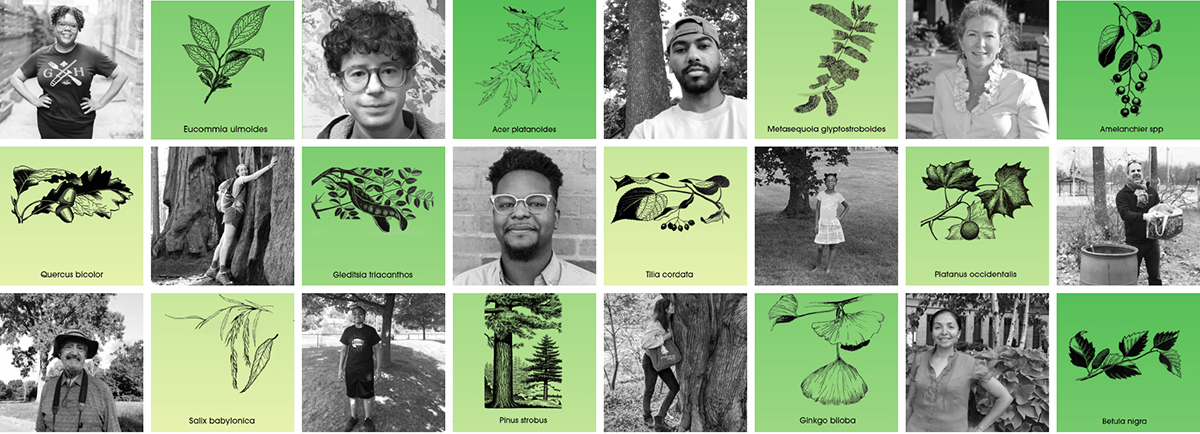 2022 ASLA COMMUNICATIONS AWARD OF HONOR: Talk Tree to Me: Facilitating ...