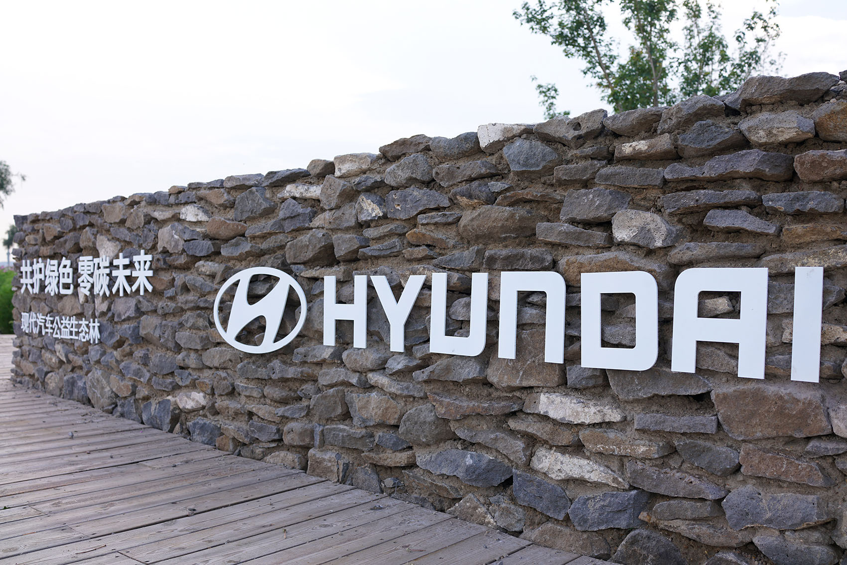 Laoli Lake Rural Revitalization by Cocoon Studio - 谷德设计网