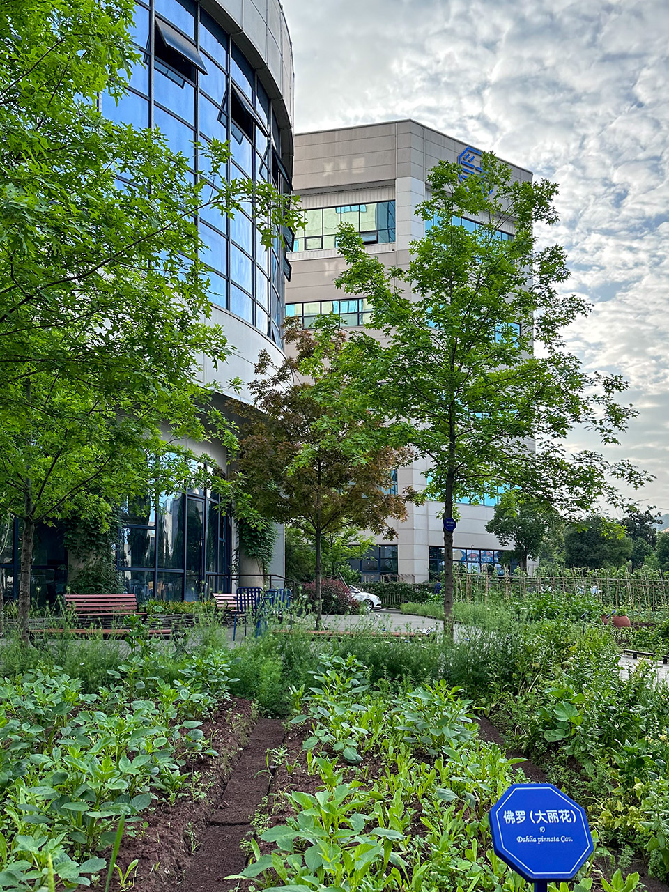 Landscape Design of Chongqing Weilan Linkong Holiday Inn, China by ...