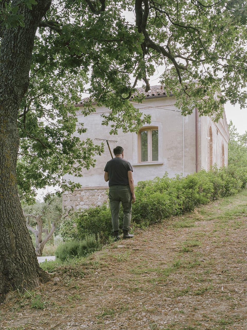 Aristo House by Tom Thys architecten - 谷德设计网