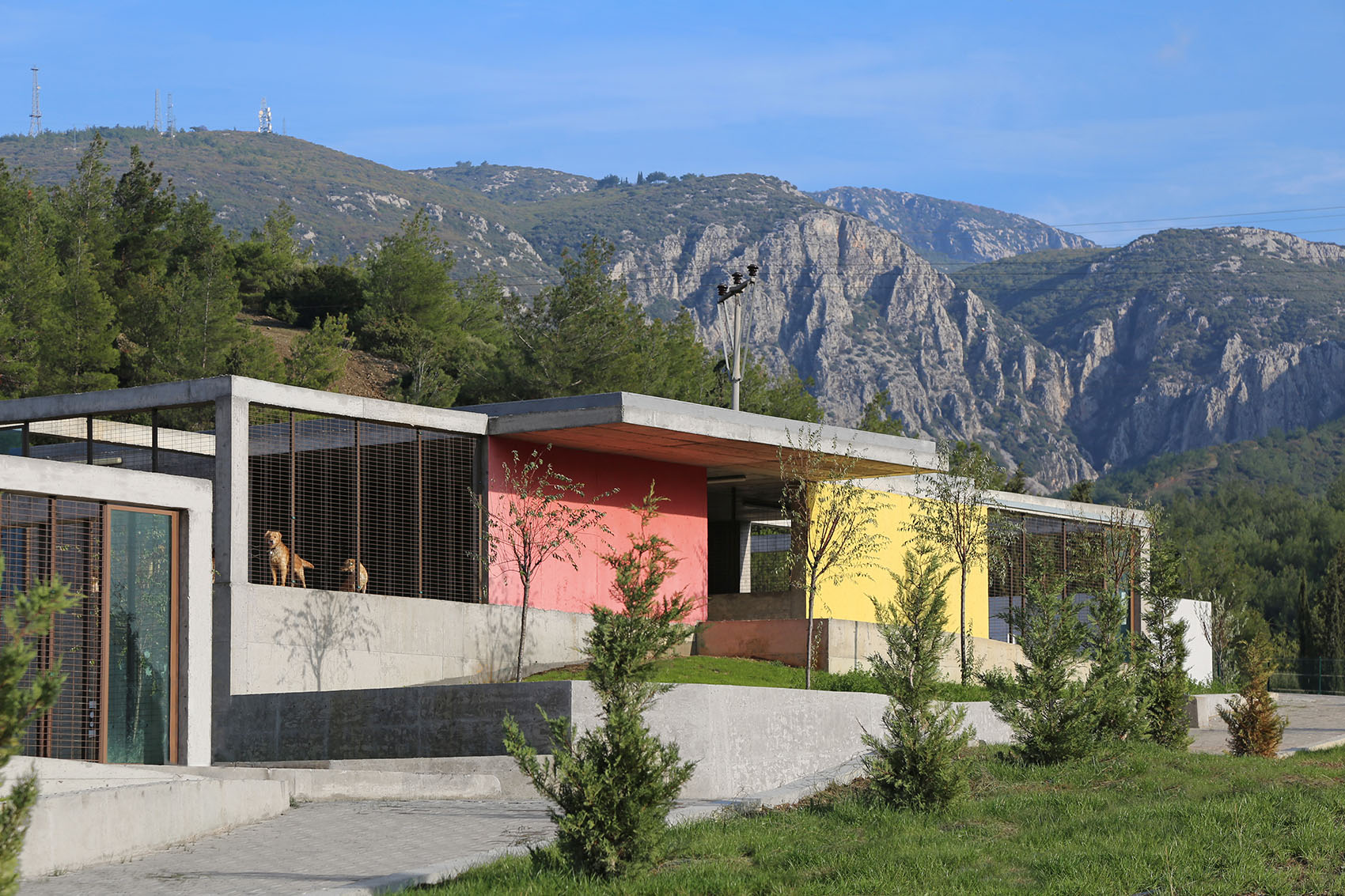 PAKO STREET ANIMALS SOCIAL LIFE CAMPUS by Mert Uslu Architecture - 谷德设计网