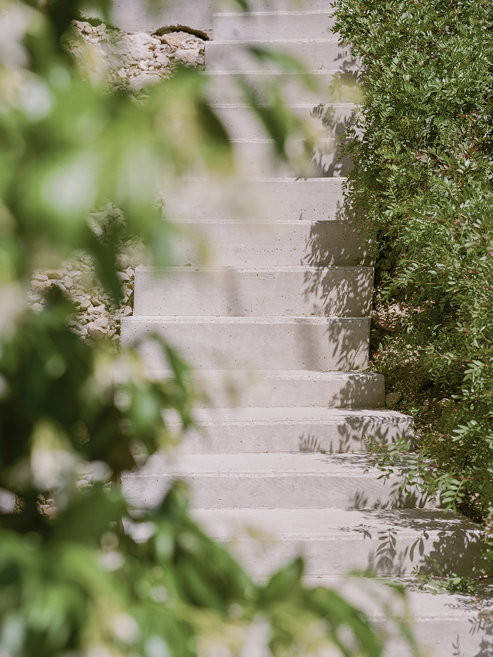 Aristo House by Tom Thys architecten - 谷德设计网