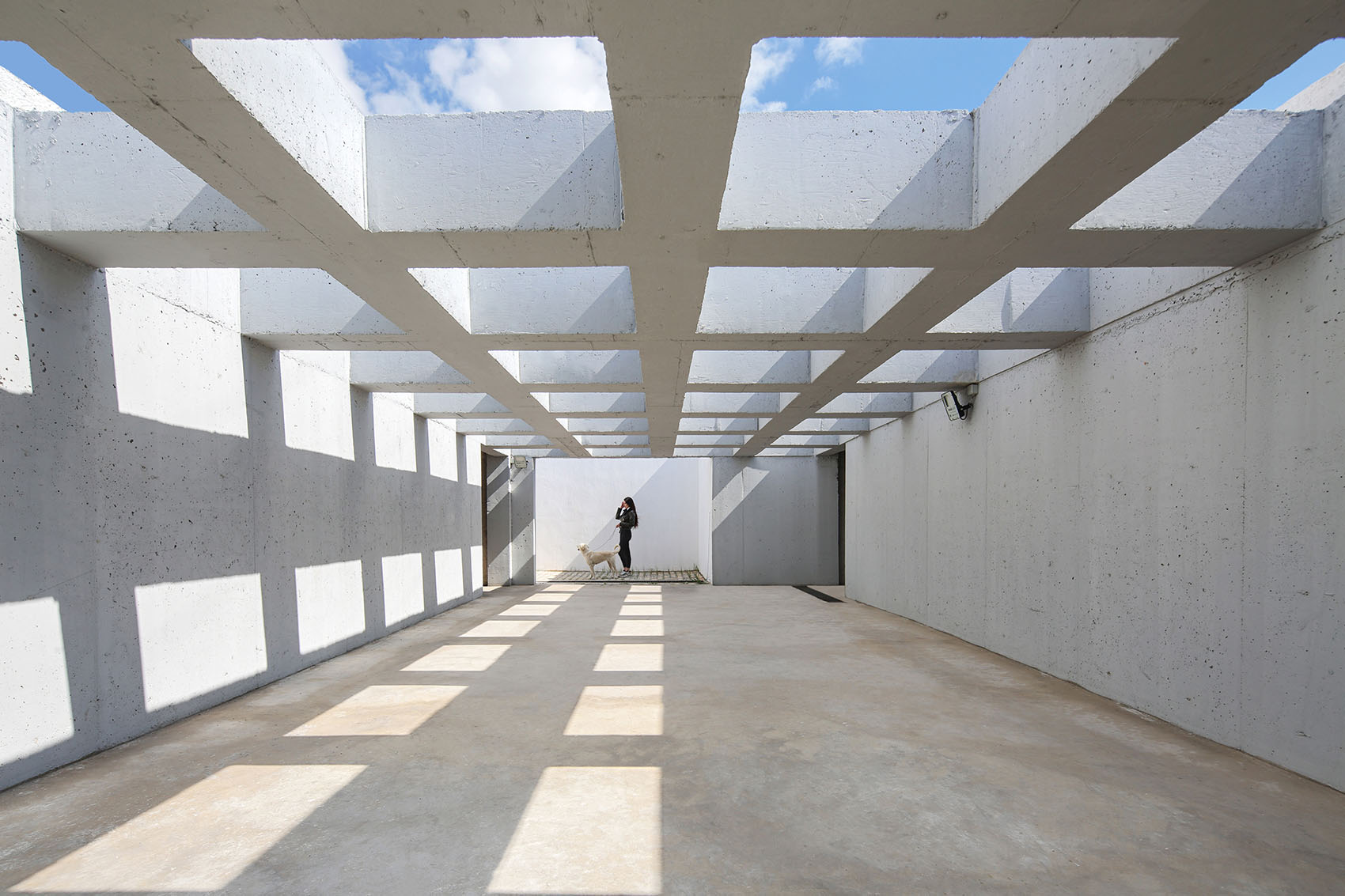 PAKO STREET ANIMALS SOCIAL LIFE CAMPUS by Mert Uslu Architecture - 谷德设计网