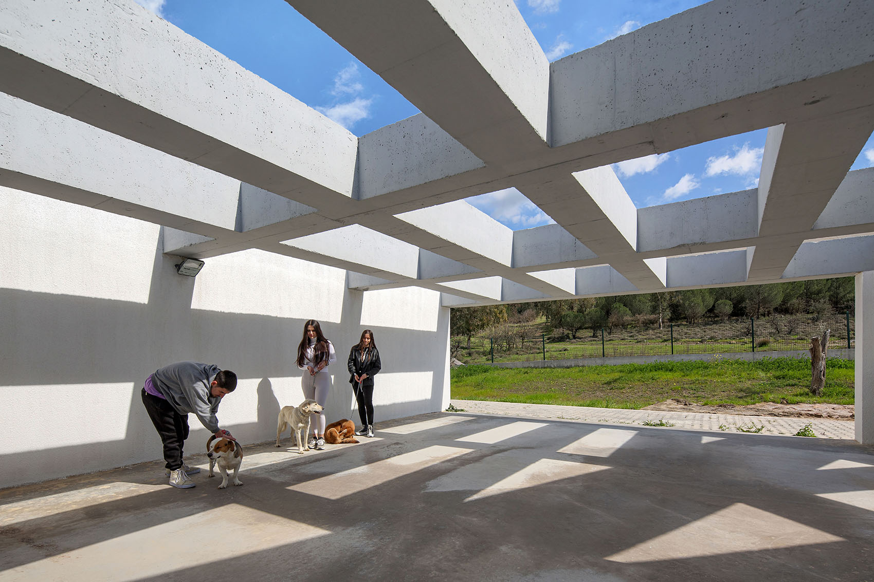 PAKO STREET ANIMALS SOCIAL LIFE CAMPUS by Mert Uslu Architecture - 谷德设计网