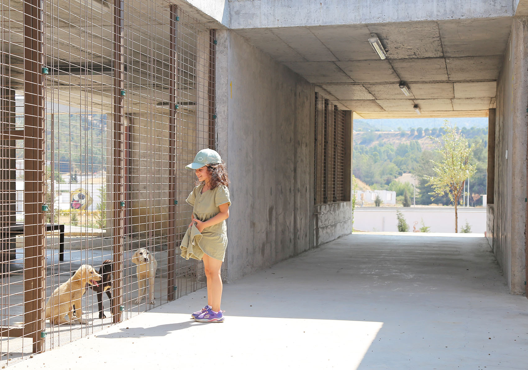 PAKO STREET ANIMALS SOCIAL LIFE CAMPUS by Mert Uslu Architecture - 谷德设计网